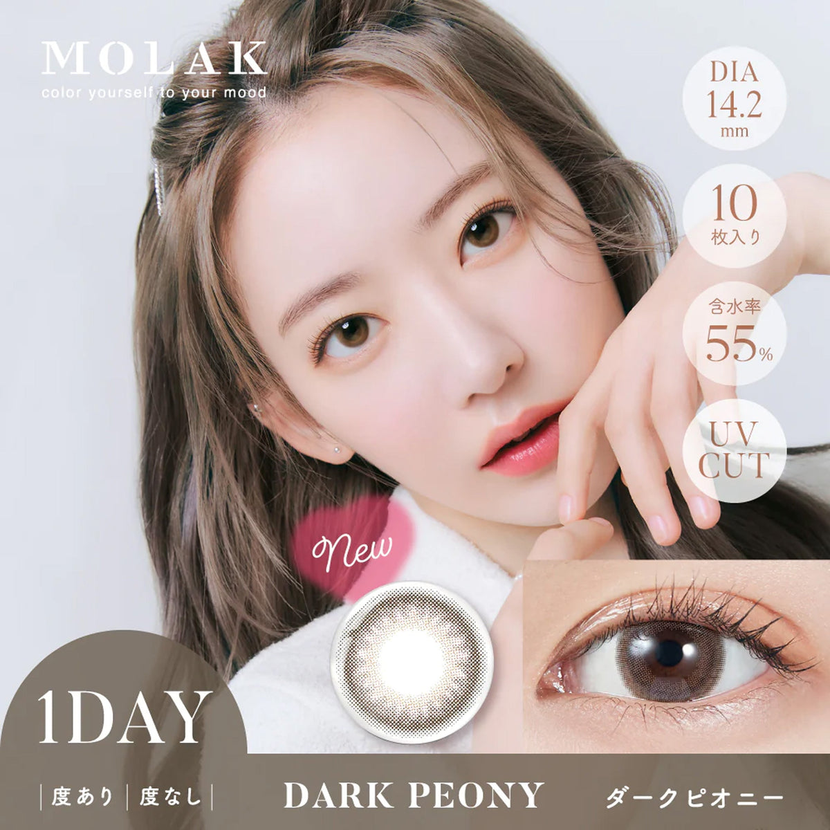 Molak Contact Lens | LAMOUR – LAMOUR BEAUTY & LIFE